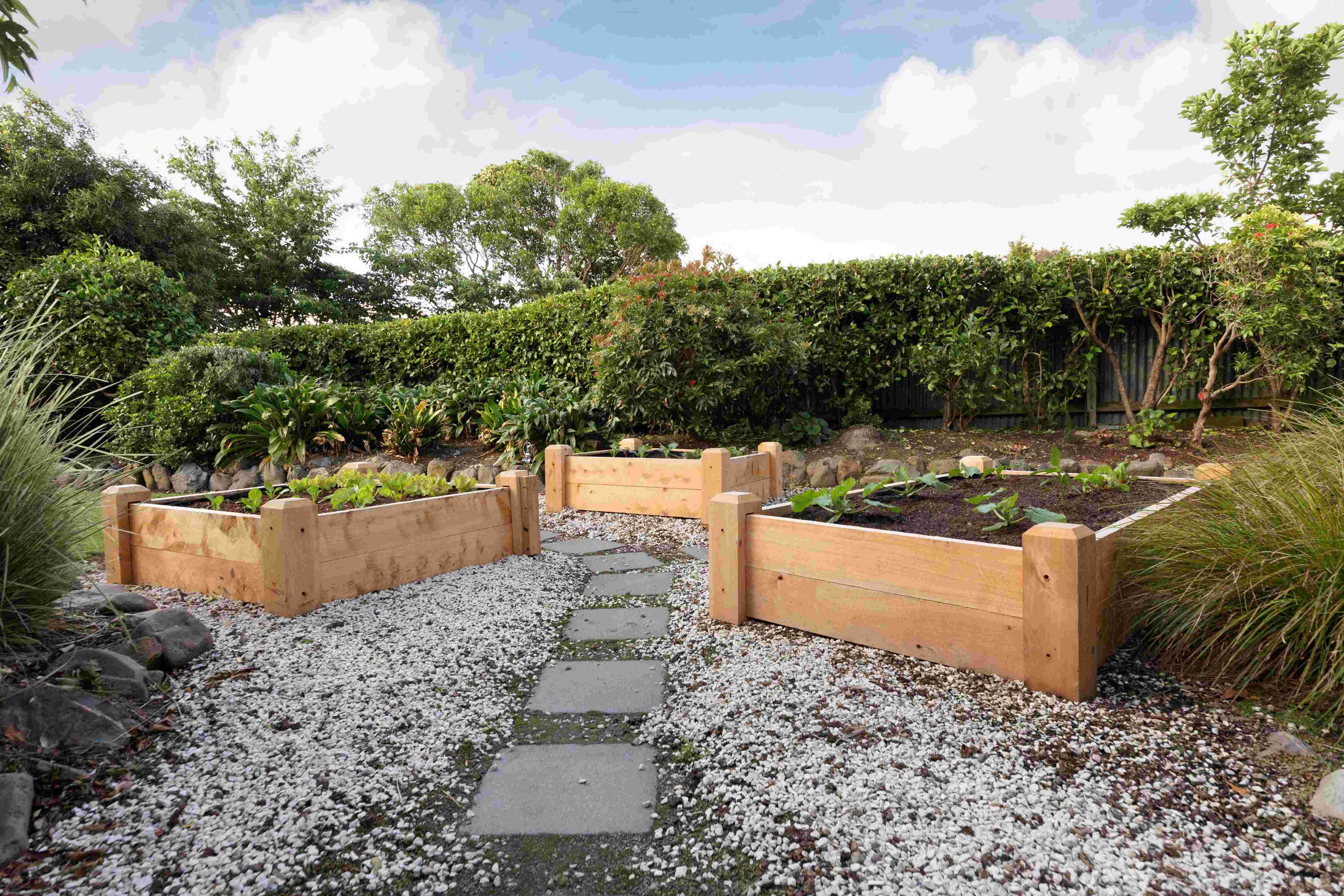 Macrocarpa Planter Boxes | New Zealand - Lumber Processors | Macrocarpa Timber Specialists